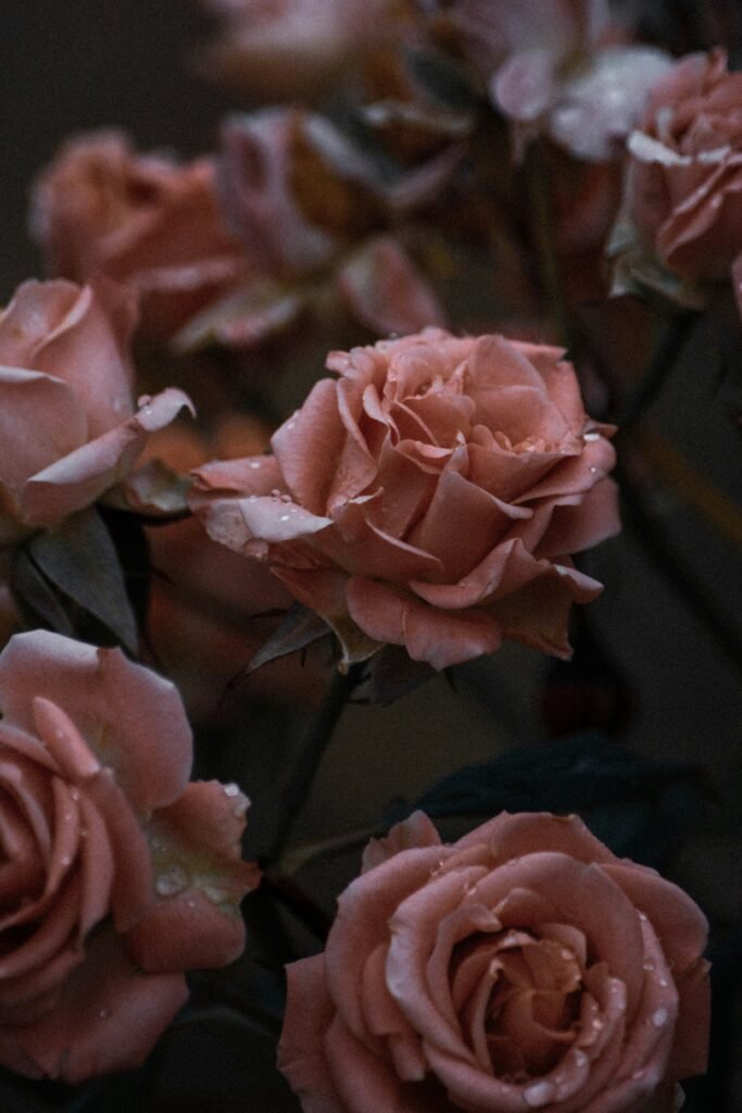 Single Note Essential Oil Archives - Mia's Garden Fragrances Singapore